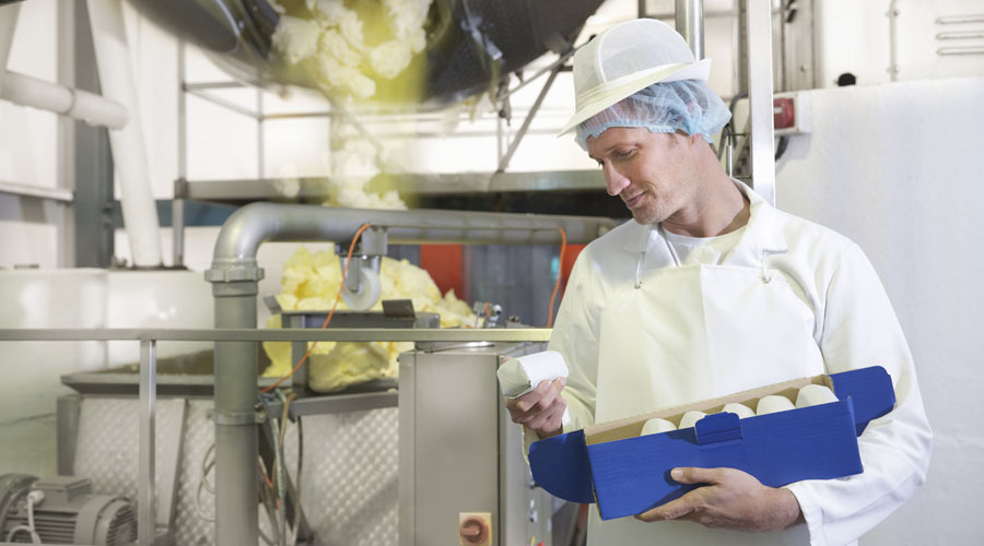 Mozzarella Cheese Plant Expansion Provides an Automation Opportunity