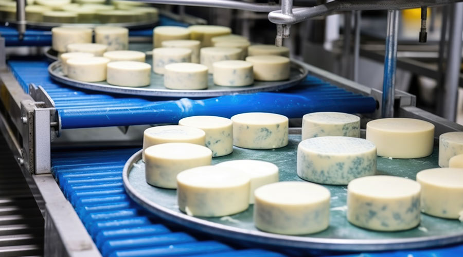 An Automation & Integration Solution for a New Blue Cheese Plant